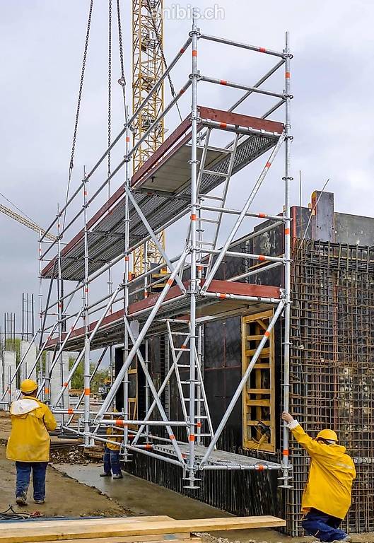 Ramovska Skela | BAUMANN BEOGRAD | 2024